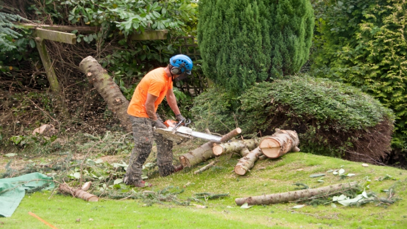 Tree Surgeon Macclesfield | Free Site Visit & No Obligation Quote